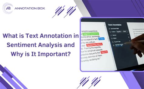 Text Annotation In Sentiment Analysis Enhance Data Accuracy