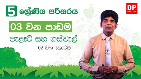03 වන පාඩම පැළෑටි සහ ගස්වැල් 02 වන කොටස 05 ශ්‍රේණිය පරිසරය Youtube
