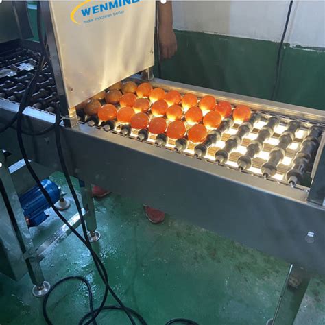 Commercial Egg Candler Egg Candling Machine For Sale Wm Machinery