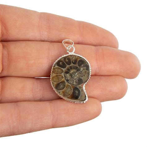 Fossiel Zeester Kopen Spiru