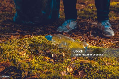 플라스틱 병은 햇볕에 이끼 위에 놓여 있습니다 숲에서 한 여성 자원 봉사자가 플라스틱 쓰레기를 줍기 위해 쓰레기 봉투를 내놓았습니다 가정 쓰레기와 플라스틱 쓰레기로 인한 숲