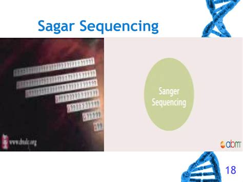 Gene Sequencing Technique Pptx