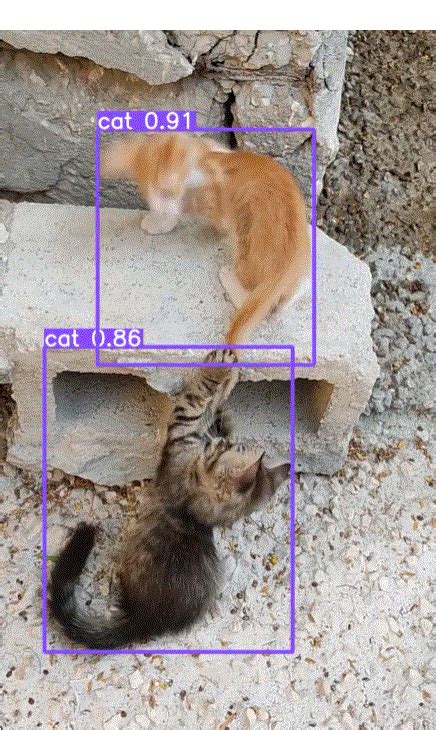 Opencv与ai深度学习 使用yolov8做目标检测、实例分割和图像分类包含实例操作代码使用yolov8分类 Csdn博客