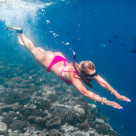 Snorkeling With Sharks In The Maldives Cinnamon Hotels And Resorts
