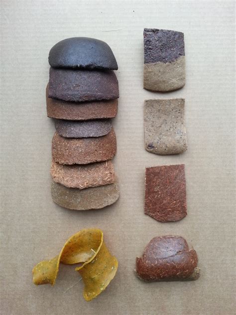 Tree Bark Gallery Future Materials Bank