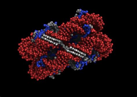 Dna 3 D Structure Molecule Pattern Abstraction Genetic