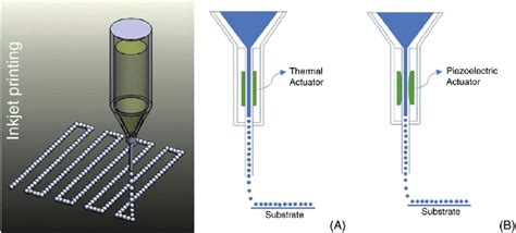 3 Schematic Representation Of Drop On Demand Inkjet Printing Method By Download Scientific