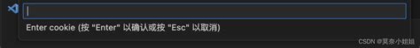 「vscode」在vscode中通过cookie登录leetcodevscode登录leetcode Csdn博客