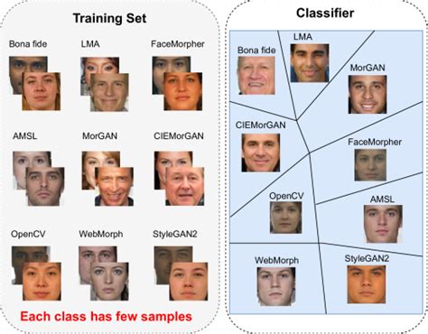 Fusion Based Few Shot Morphing Attack Detection And Fingerprinting Deepai