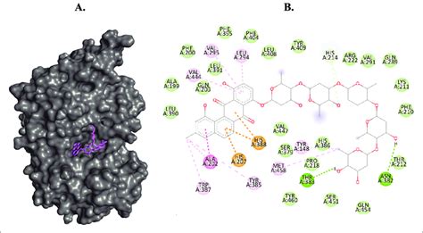Binding Interaction Of Ligands With The Lowest Binding Energy Download Scientific Diagram
