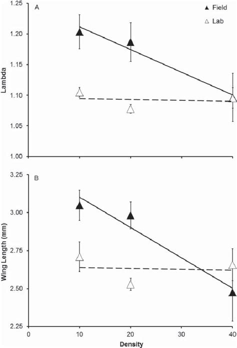 A Lambda Mean Se For Þeld Collected And Laboratory Strains Of Ae