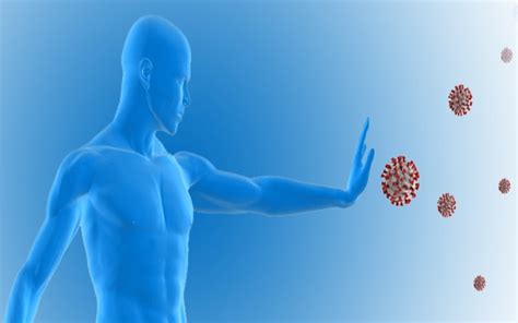 Vitalhubs Holistic Approach To Immune Health Natural Strategies For