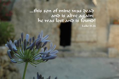 Bible Posters New Testament Various 1