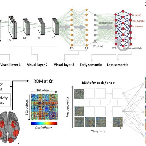 Representational Similarity Analysis Rsa Using Computational Models