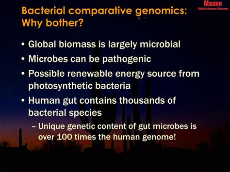 Ppt Mauve Methods For Multiple Genome Alignment Powerpoint Presentation Id 5619222