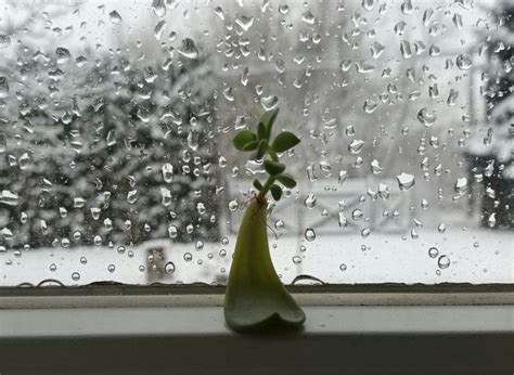 Wieslaw Topczewski On Linkedin Creativity