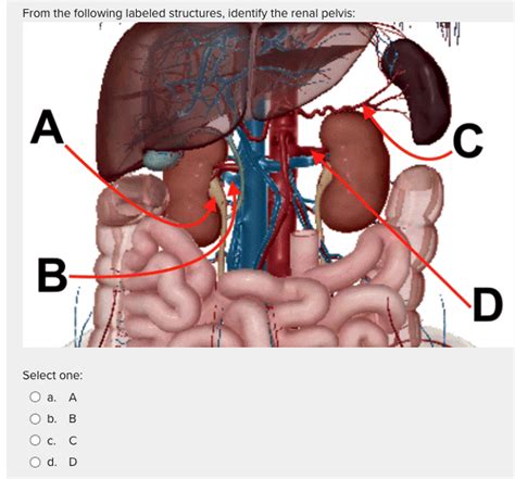 solved from the following labeled structures identify the