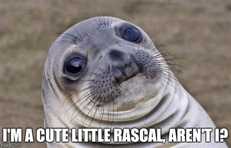 Awkward Moment Sealion Meme Imgflip