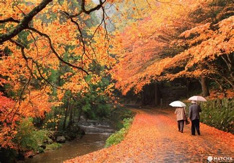 秋季旅行看這裡！值得一去的廣島紅葉觀賞景點 Top5【2021年版】 Matcha 日本線上旅遊觀光雜誌