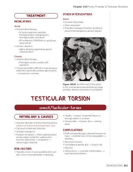 Epididymitis Osmosis