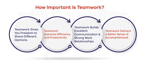 The Importance Of Teamwork In University