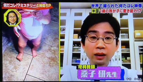 さわるだけで点灯する不思議な電球の解説をしました「世界の何だコレミステリー」（フジテレビ） 科学のネタ帳