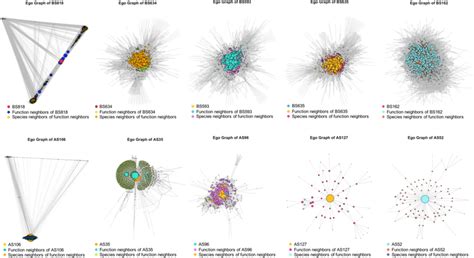 Ego Graph Of Crucial Species In The Tmen Of Both Bacteria And Archaea