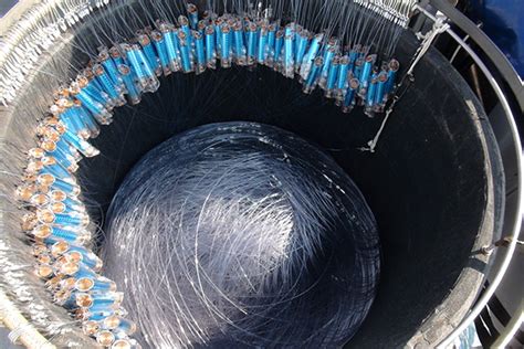 Could An Electric Pulsed Device Help Mitigate Shark Bycatch In Longline