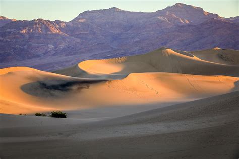 델타항공 타고 캘리포니아 데스밸리 국립공원 Death Valley National Park 메스키트 플랫 샌드듄 Sand Dune 2 네이버 블로그