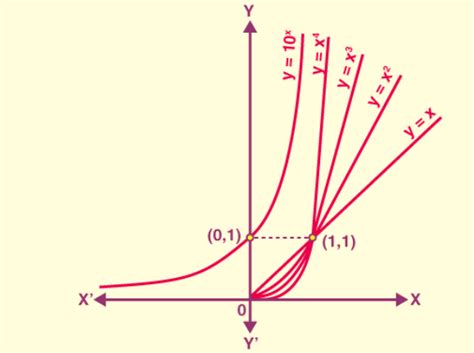 Exponential Function Formula Explanation Types Properties And Graphs