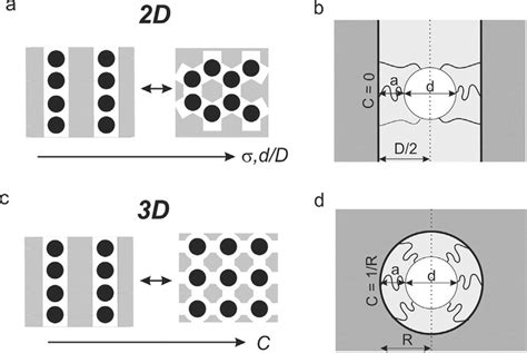 Scheme Of A The Linear Array Honeycomb Lattice Transition Observed