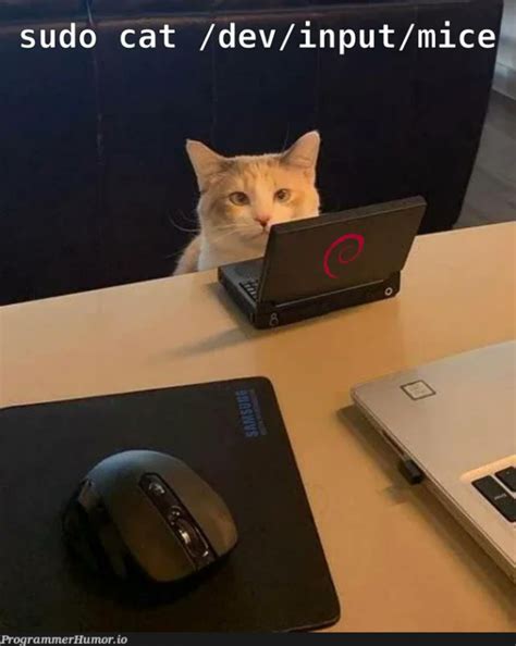 Me Mememing Linux Memes ProgrammerHumor Io