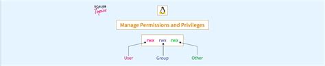 How To Manage Permissions And Privileges In Linux Scaler Topics