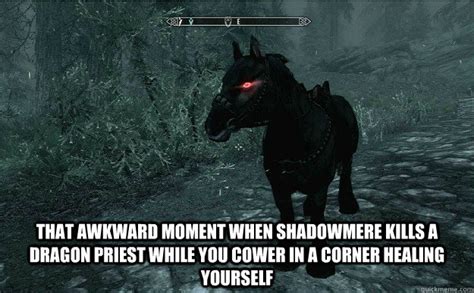 That Awkward Moment When Shadowmere Kills A Dragon Priest While You Cower In A Corner Healing