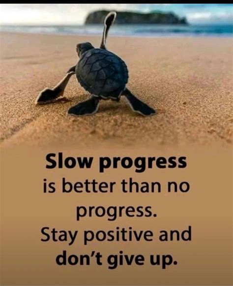 Main Burghol On Linkedin Agile Apitesting Itanalysis Qualityassurance Softwaretesting…