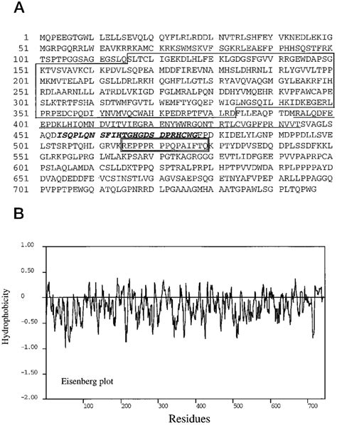 The Deduced Amino Acid Sequence Of Ack 2 And Its Primary Structural Download Scientific Diagram