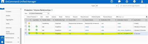 Remote Infrastructure Management Data Protection Using Netapp
