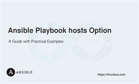how to use the ansible playbook hosts option examples