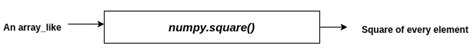 Npsquare：如何计算 Numpy 数组的平方 0x资讯