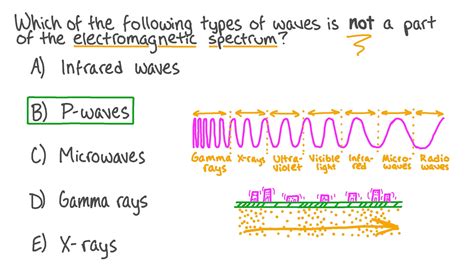 P Waves