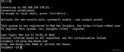 Linux的入门及简单使用远程连接成功后总结哪种网络模式可以上网可以使用ping命令测试并查看root用户 Csdn博客
