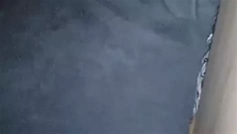 Sleepwalkers Porn Videos Sex Model Nudes XHamster