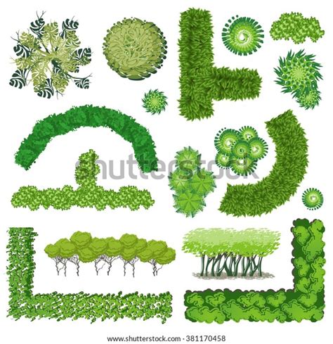Trees Bush Item Top View Landscape Stock Vector Royalty Free 381170458