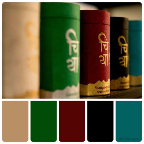 Best Colorful Color Palettes