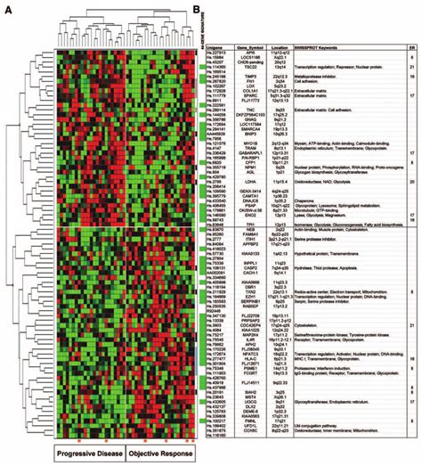 Supervised Hierarchical Clustering Of 46 Tumors Using The 81 Gene