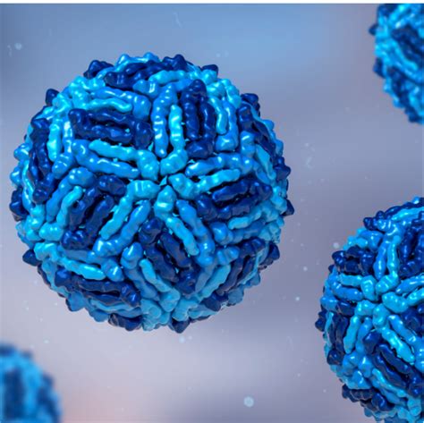 Online Learning Veterinary Compendium