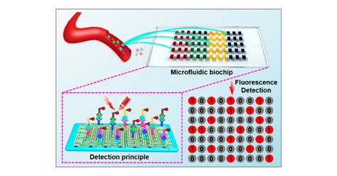 Lys Aunpsmos2 Nanocomposite Self Assembled Microfluidic Immunoassay