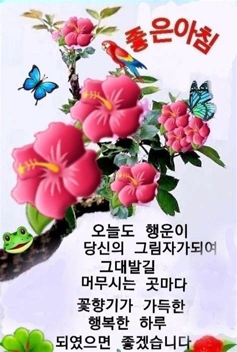 문화에 있는 핀 아침 인사 인용구 좋은 아침 인사 꽃 사진