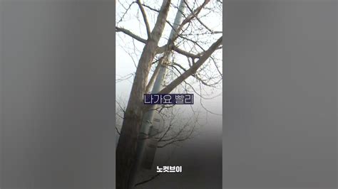 [⚡]尹 지지자들 취재진 발견했을 때 반응은 Youtube