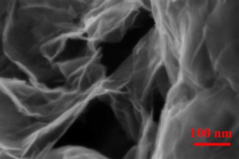 Figure S1 High Resolution Sem Image Indicating The Wrinkled Structure